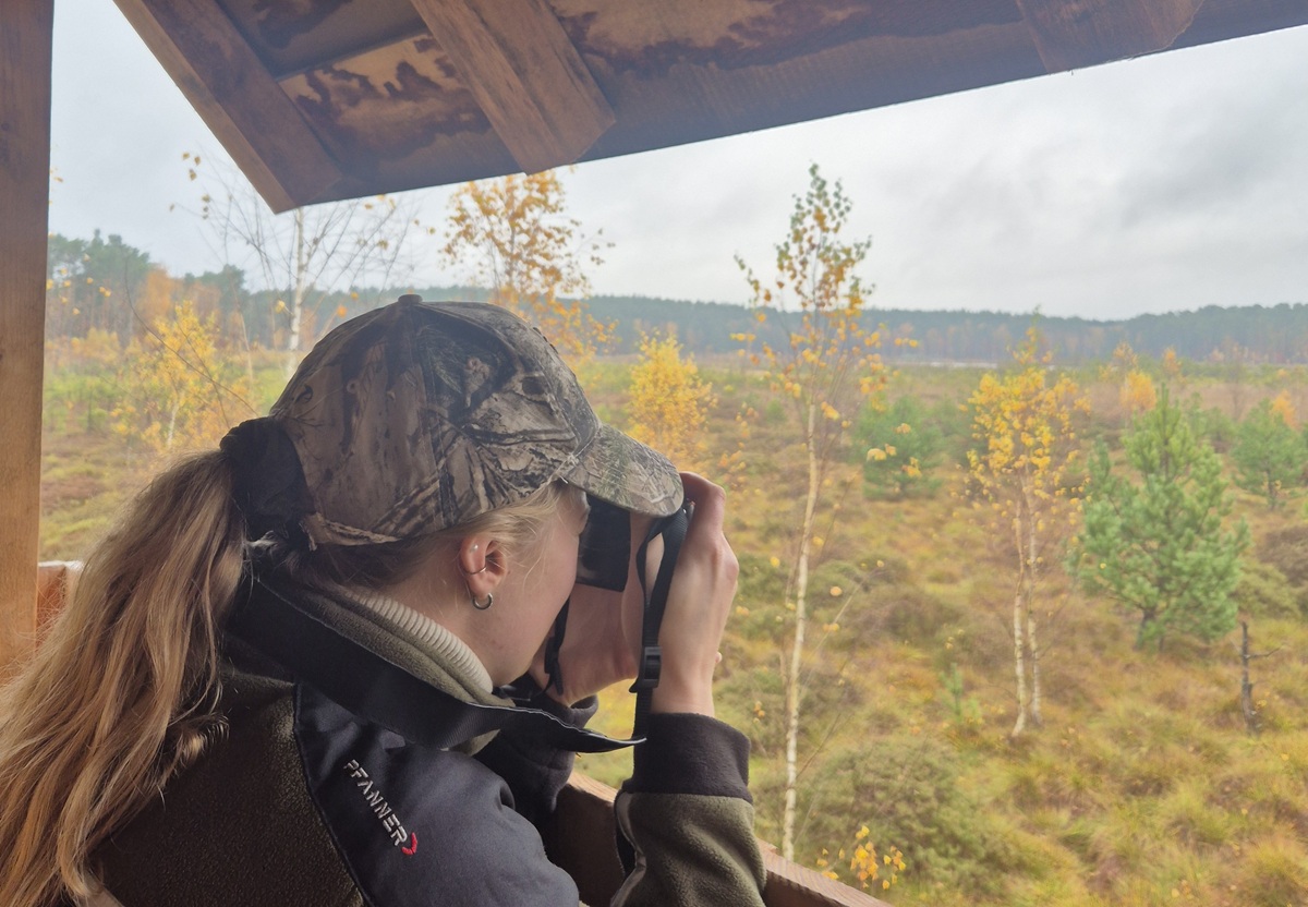 Bewerbungsfrist für Umweltpraktikum im Müritz-Nationalpark endet im ...